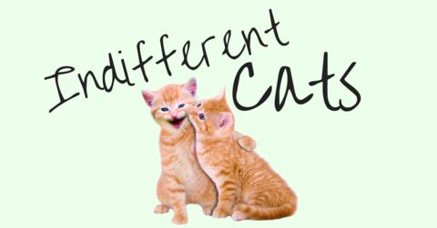 Dealing With The Indifferent Cats - Pet Clever