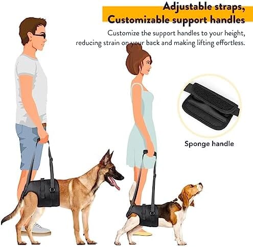 Adjustable Sling Support for Large Dogs Hind Legs, Mobility Aid for El ...