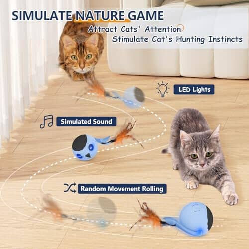 Fast Rolling Motion Activated Chirping Stimulating Light - Pet Clever
