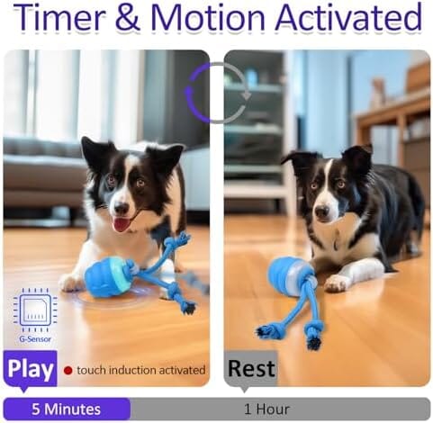Interactive Dog Toys with Motion Activated - Pet Clever