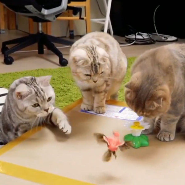 Cute Electric Butterfly/HummingBird Cat Teaser Toy - Pet Clever