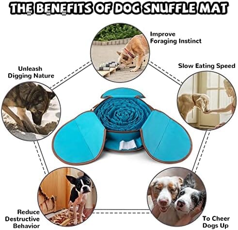 Interactive Dog Enrichment Games for Boredom Encourage Natural Foragin ...